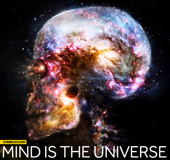 Disfigured Praise : The universe is Mind not machine