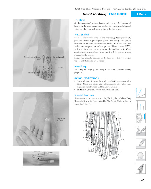 Acupuncture Masters: Acupuncture Points Database - Liver Channel