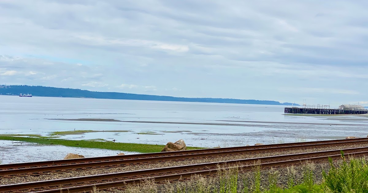 Shoreline Area News: Scene on the Sound: Point Wells at low tide