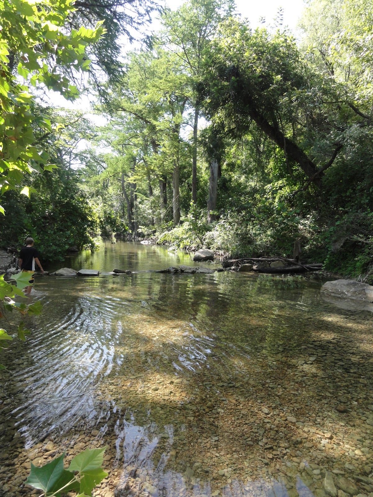 2012 – Austin Top 50