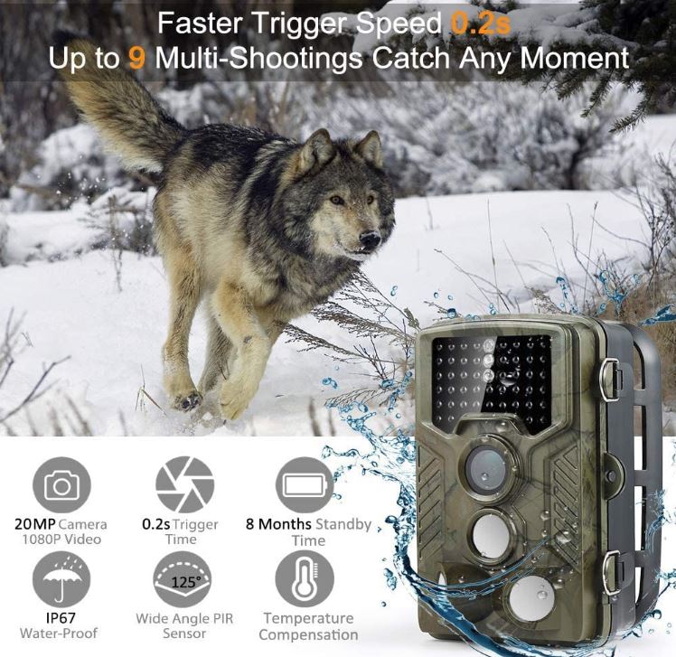 🐶 Camera de chasse Coolife: Camera animaliere Coolife 20 MP H881