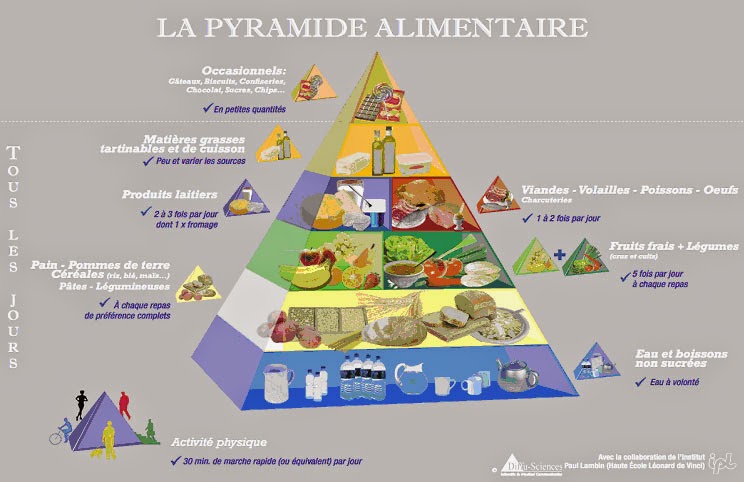 Un mode de vie paléo en Belgique - sain, simple, savoureux !: L ...