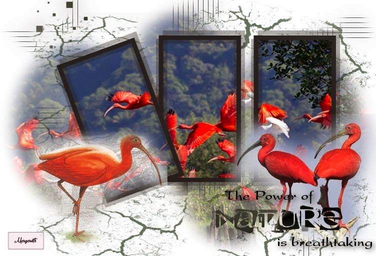 Tutoriais e materiais para PSP: Tutorial Lista 28/Fevereiro/ 2015