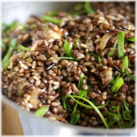 Foodies: Middle Eastern Majadra