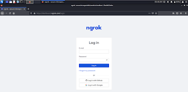How to connect ngrok auth token to shellphisher