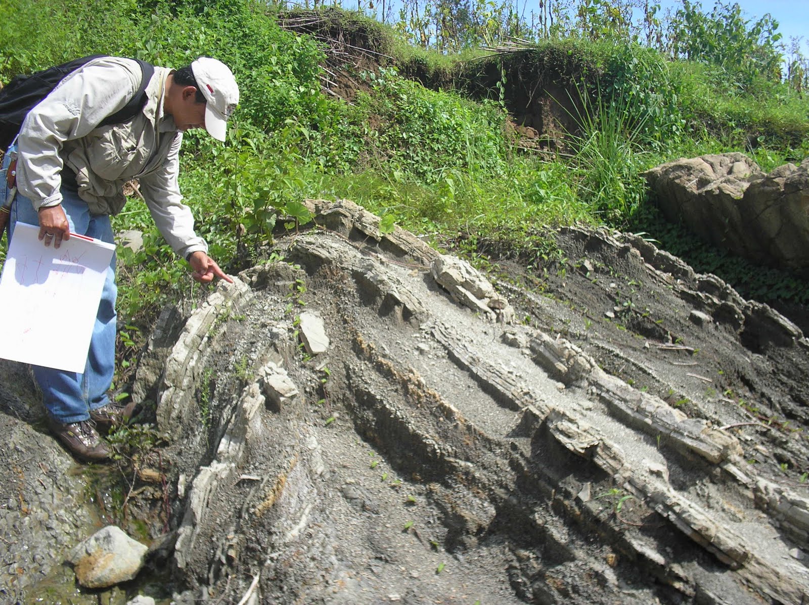 //FCS : FUAT CEPAT SELAMAT: BENTANG ALAM STRUKTURAL DAN JENIS-JENISNYA