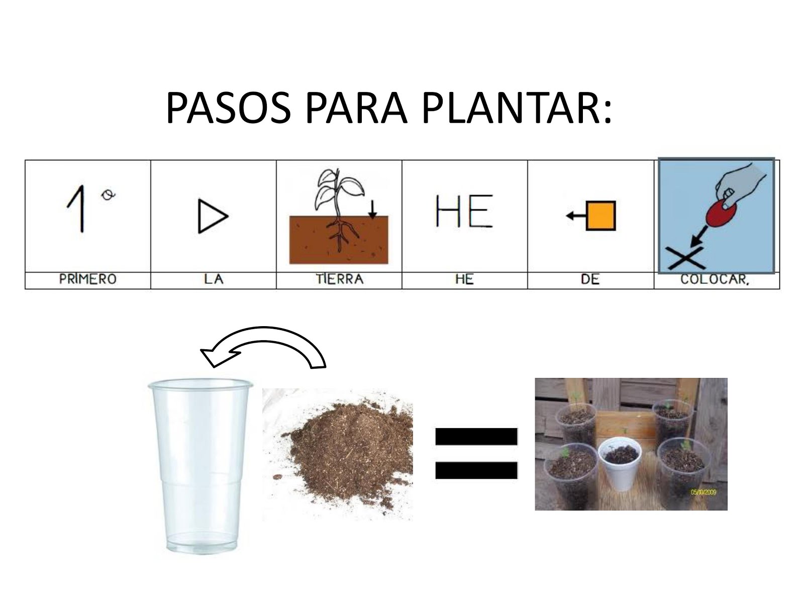 RECURSOS Y ACTIVIDADES PARA EDUCACIÓN INFANTIL: LAS PLANTAS