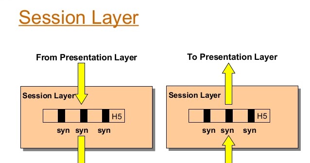Protocol & OSI model: Session layer