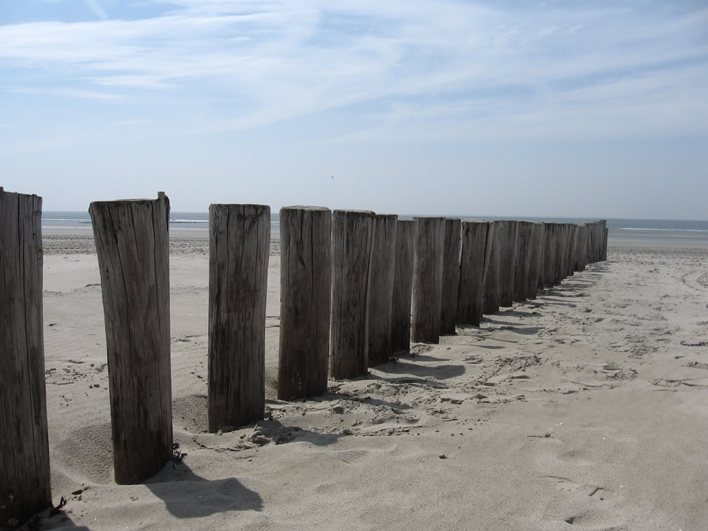 Hermans Ameland: 53 Hollum Strand en Palenrij