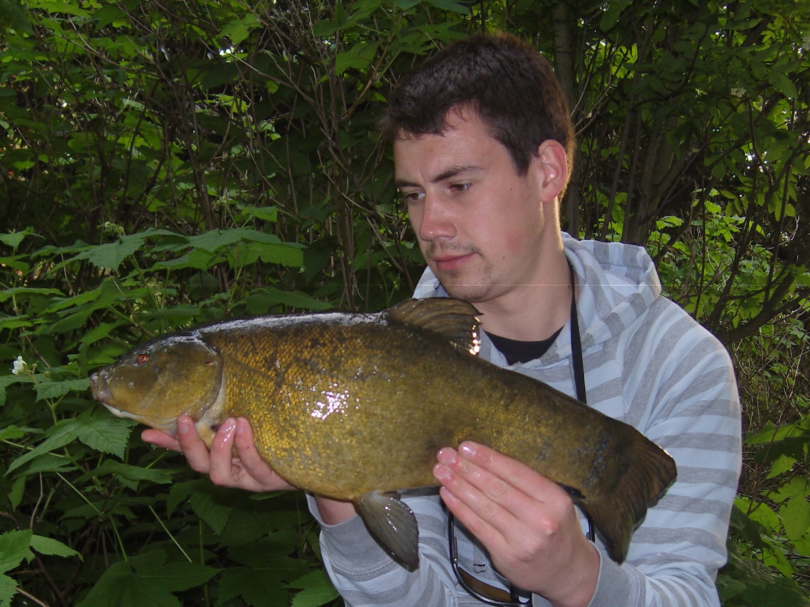 James' Angling Adventures.: May 2012