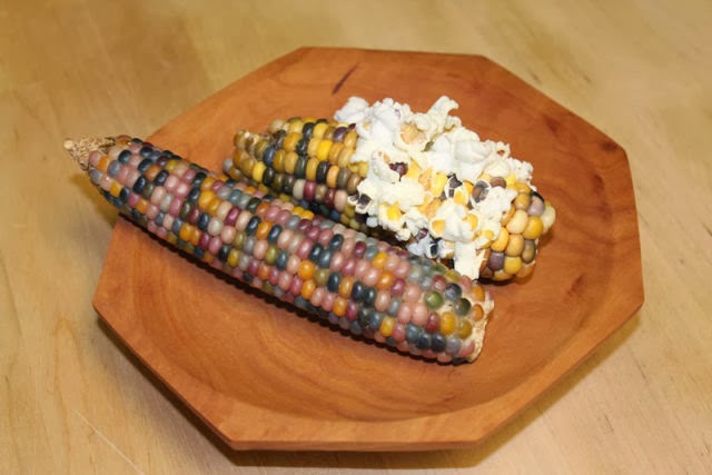 World Of Technology: Real Corn on the Cob That Comes in Colors (11 pics)