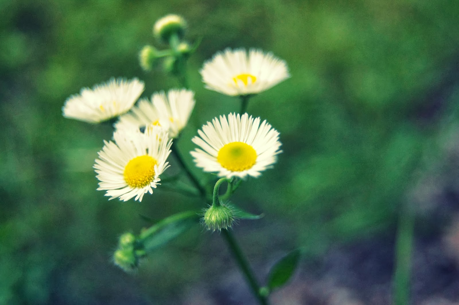 Awake and Arise: Jesus' Farewell in John 15-16-17