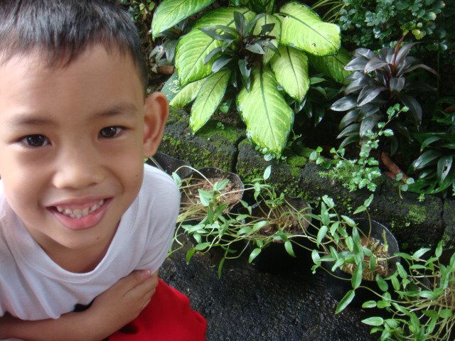 howard gardner center for excellence in education: LEARNING ABOUT ...