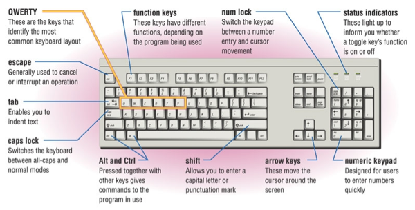 Parts Of A Keyboard And Their Functions