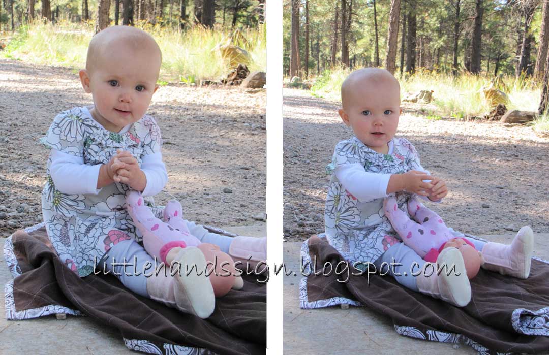 Little Hands Sign: My Baby's Signs