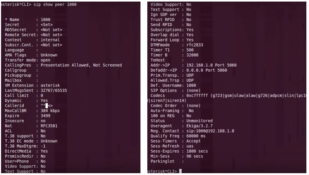 Multimedia Howto: SIP 1: Asterisk SIP Trunk