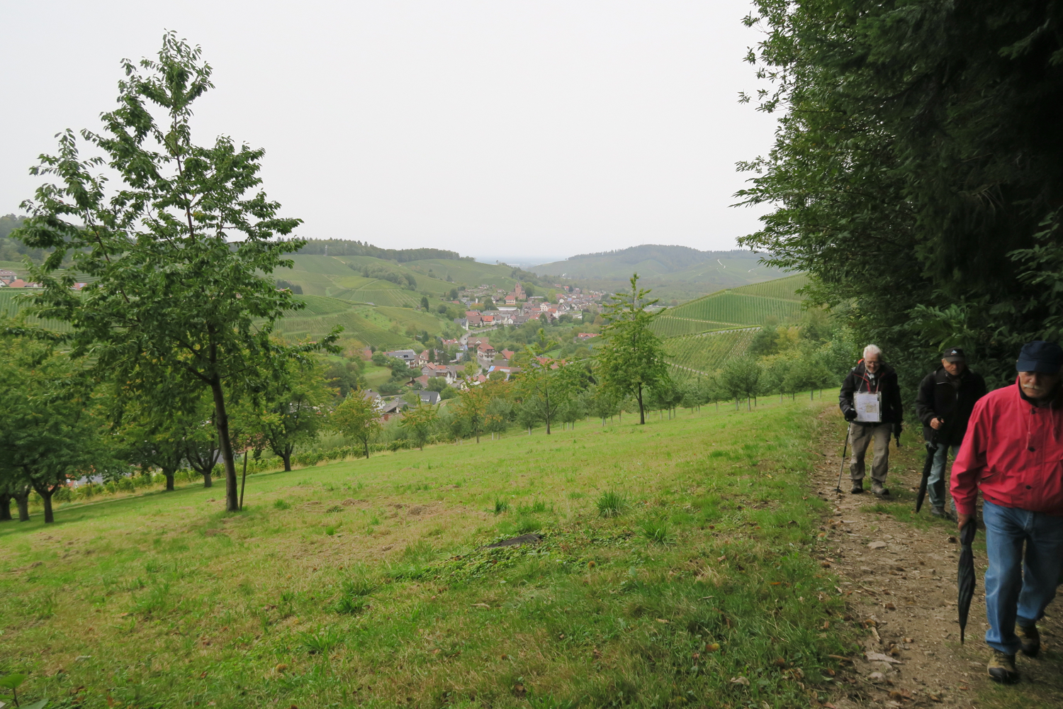 amicale des randonneurs de la paf: WALDULM - RINGELBACHER KREUZ - ULM ...