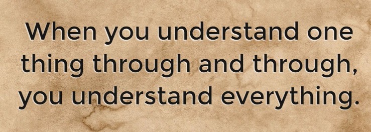 The View from This Seat: Understanding One Thing is to Understand ...