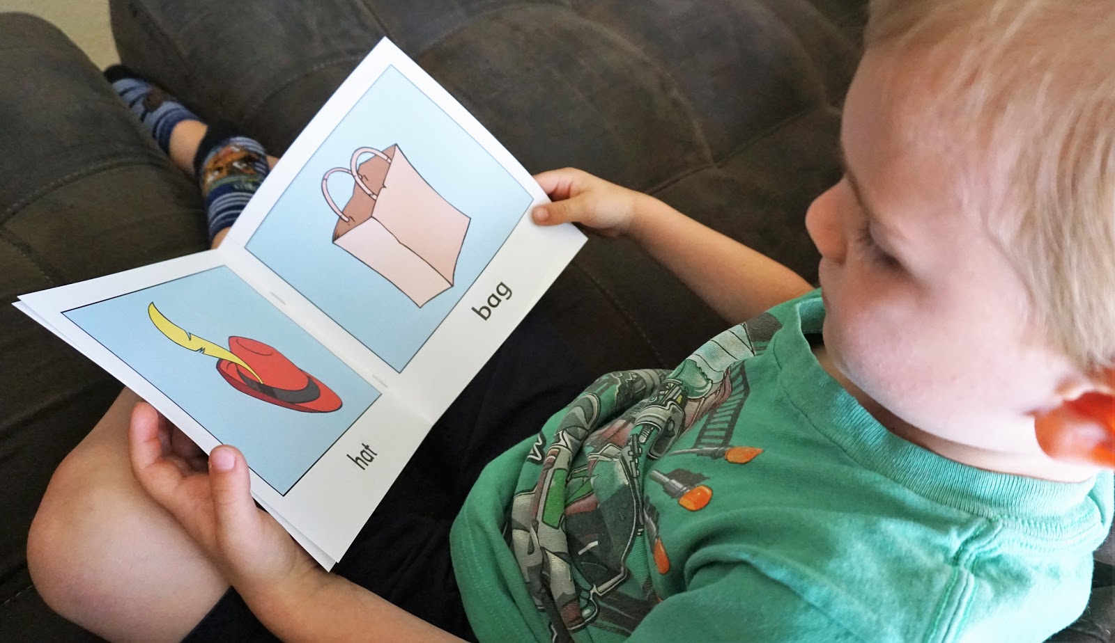 Raising Leafs: Learning Dynamics Review