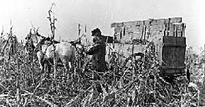 Northern Valley Beacon: The corn picking chronicles: how farms became ...