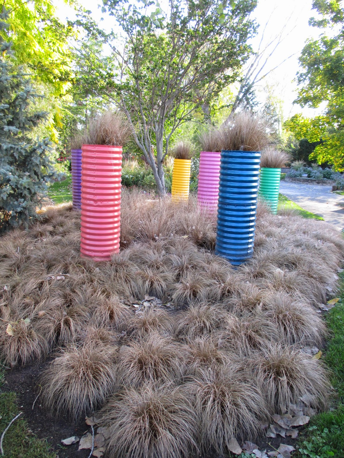 Rotary Botanical Gardens - Hort Blog: The Culvert Pipe Planter