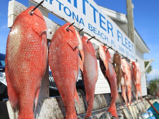 Where to Buy Red Snapper - Fresh Red Snapper, Buy Red Snapper, Red ...