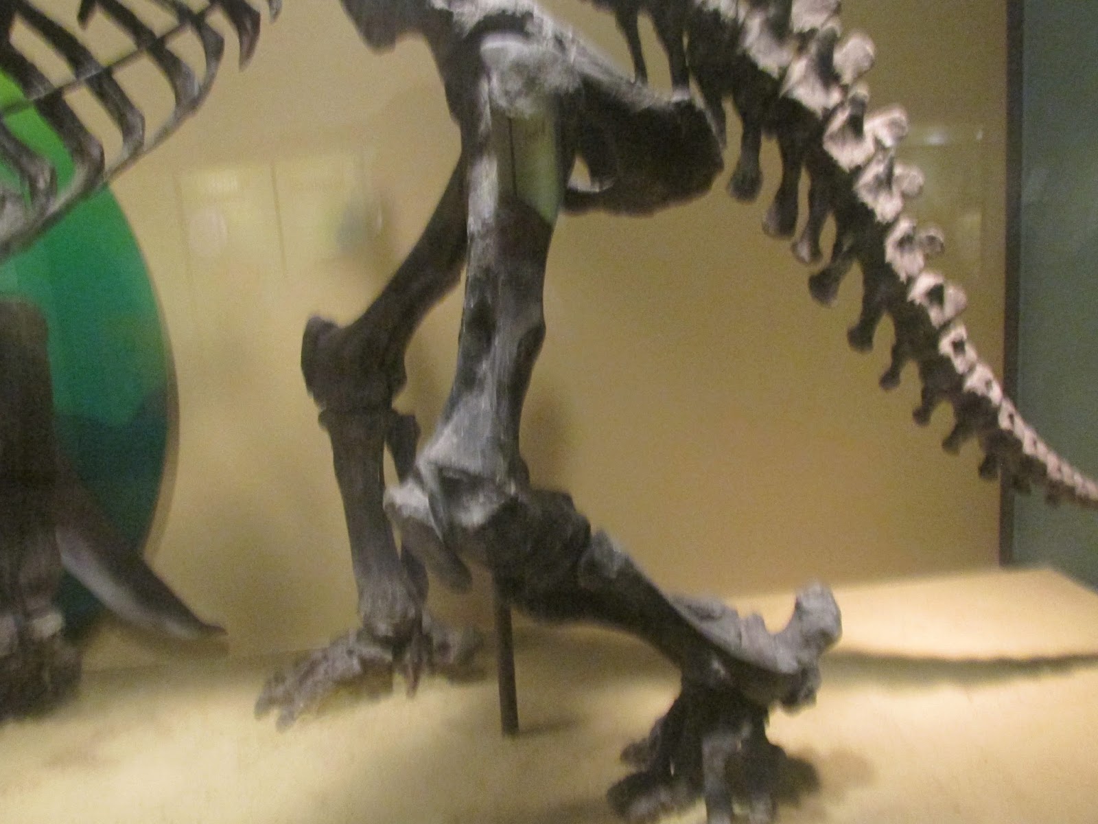 What happens when a non-accredited paleontology fan blogs: Species that ...