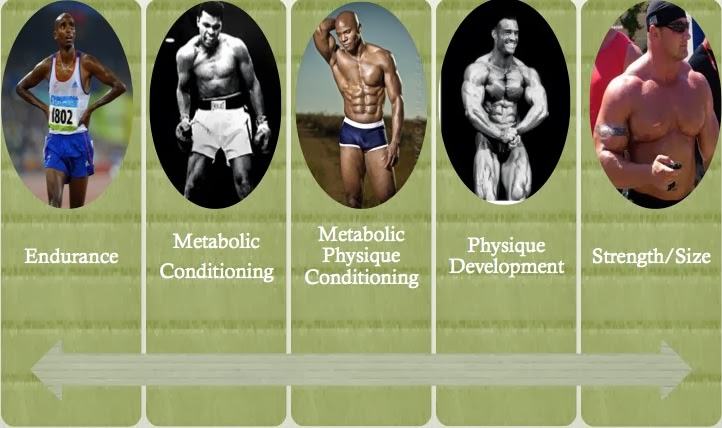 Fitness Pollenator: Structuring Workouts for Maximum Gains: Concurrent ...