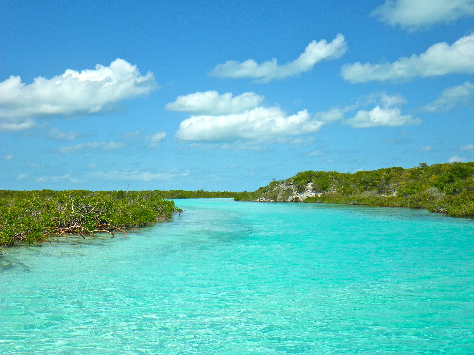 Finally Fun!: Shroud Cay & Norman Cay -- Still in the Exumas