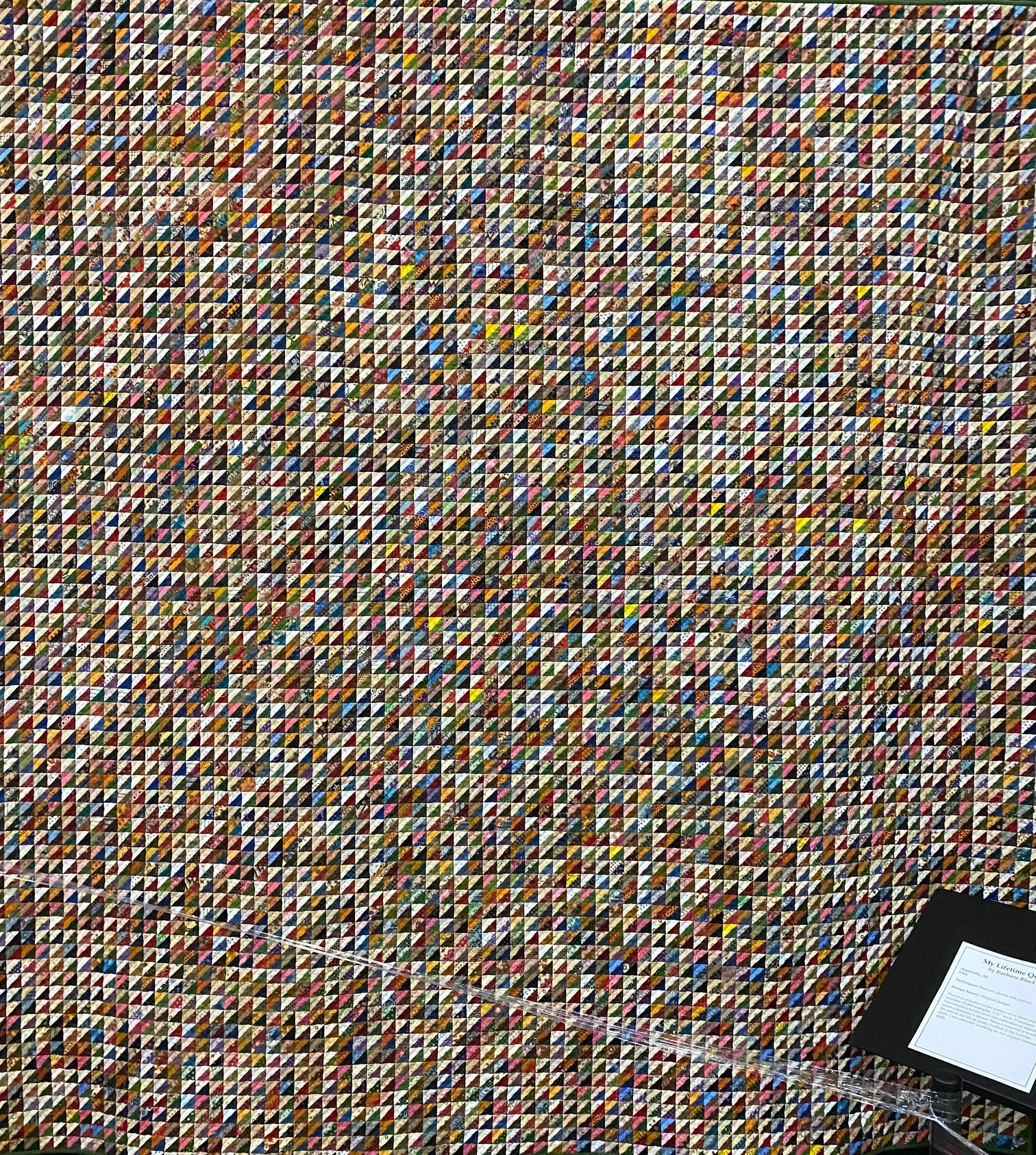 Come Quilt (Sue Garman): 2021