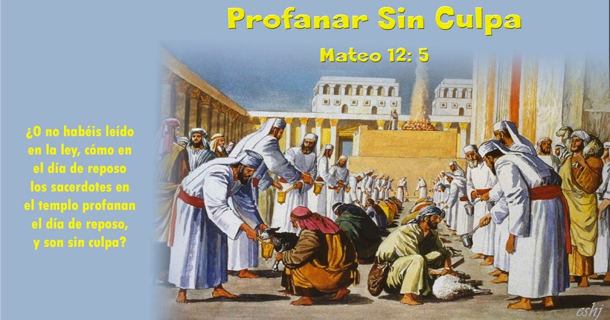 Mateo 12 Nueva Versión Internacional (NVI)