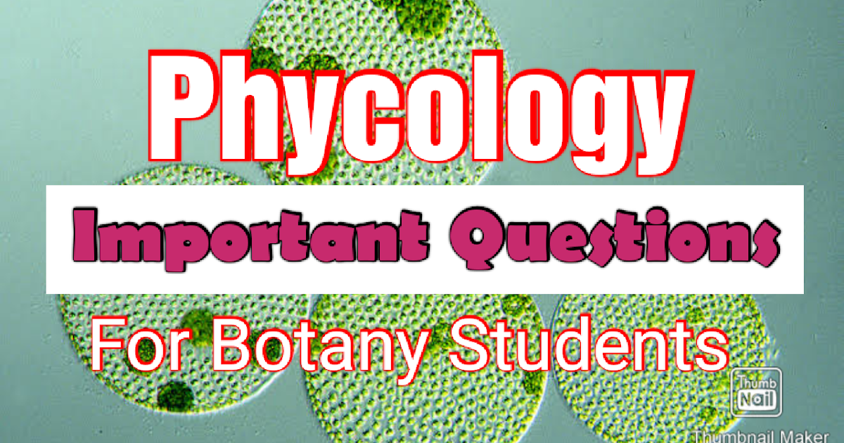 Phycology Questions For BSc Botany Students Phycology Important Questions Phycology phycology-questions-for-bsc-botany-students-phycology-important-questions-phycology