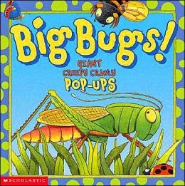 Miss Sarah's Storytime: Bzzzzzz! A Busy Bee and Bugs Storytime for 2s ...