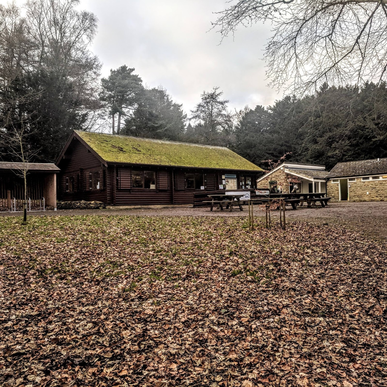 A Dog Walk Around Bolam Lake