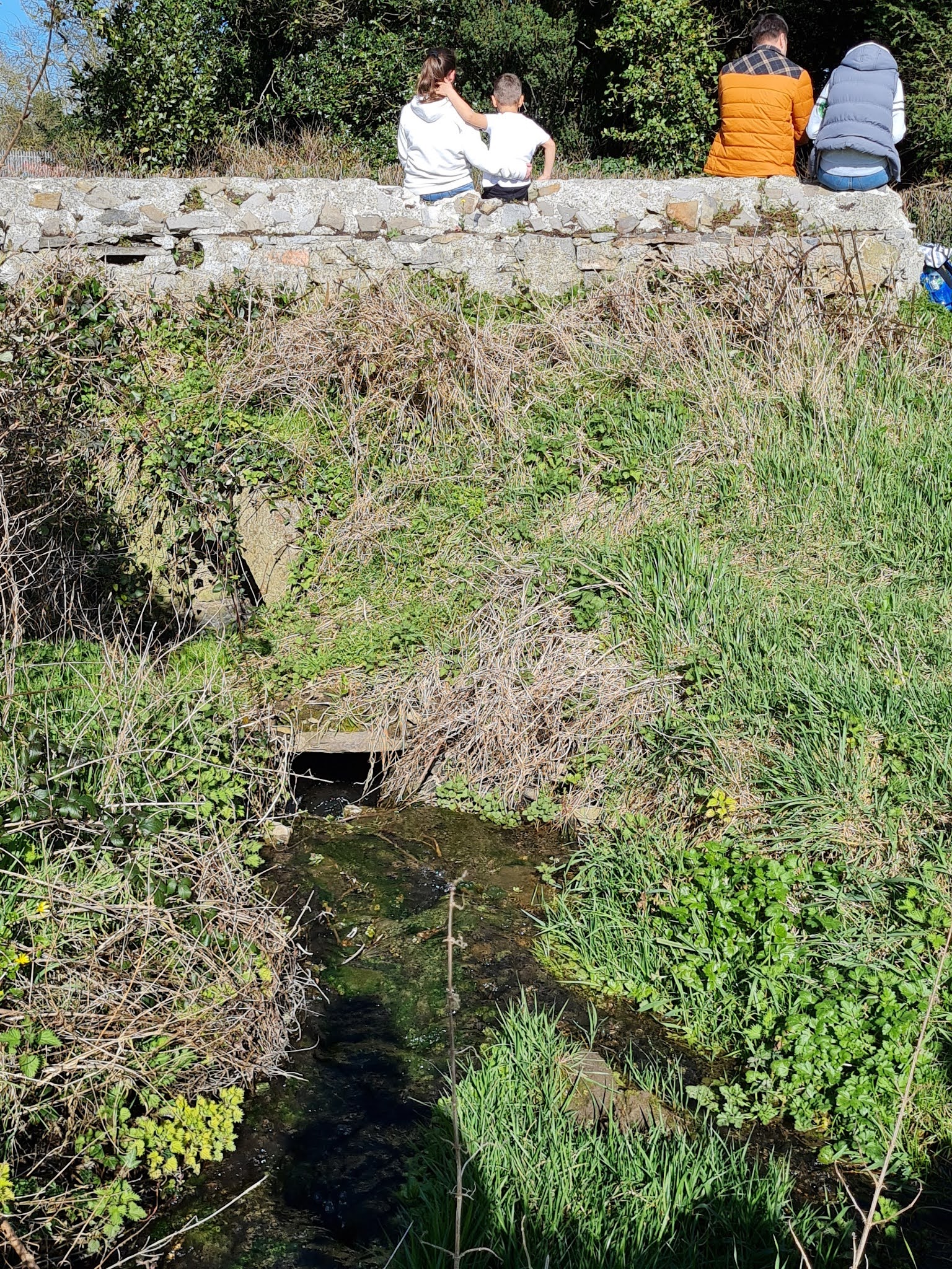 The Camac River at Corkagh.