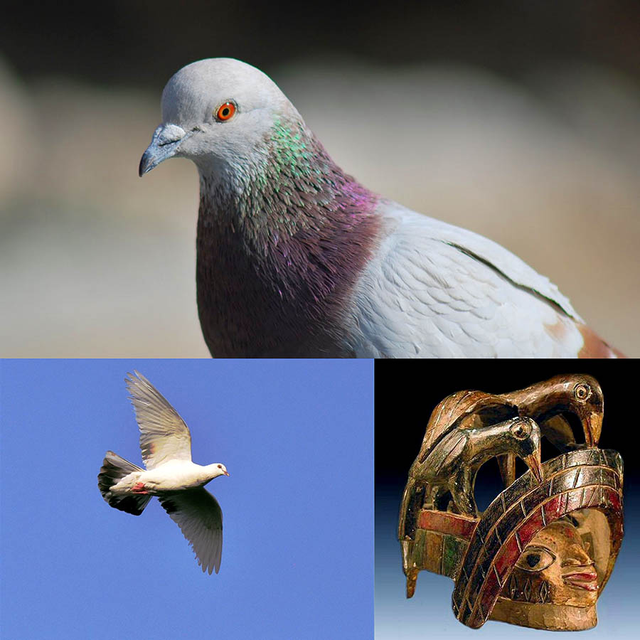 Afro Africa: Eyele – Pombo