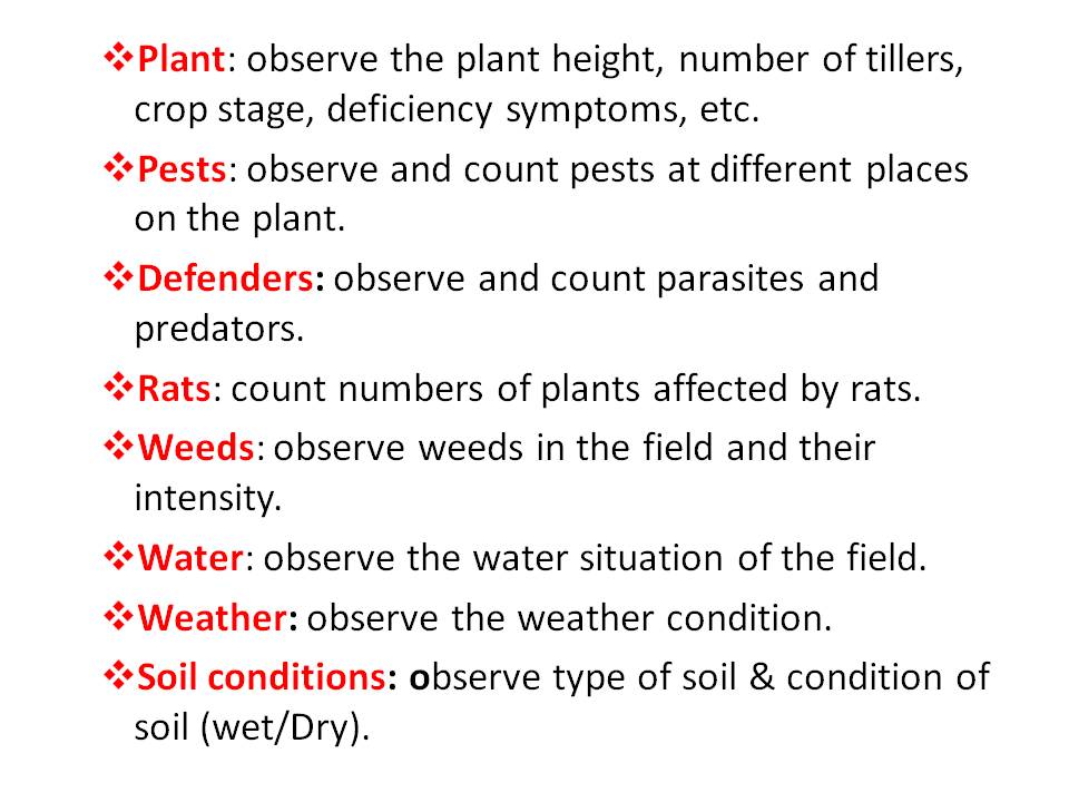5. AGROECOSYSTEM SURVEY ANALYSIS (AESA)