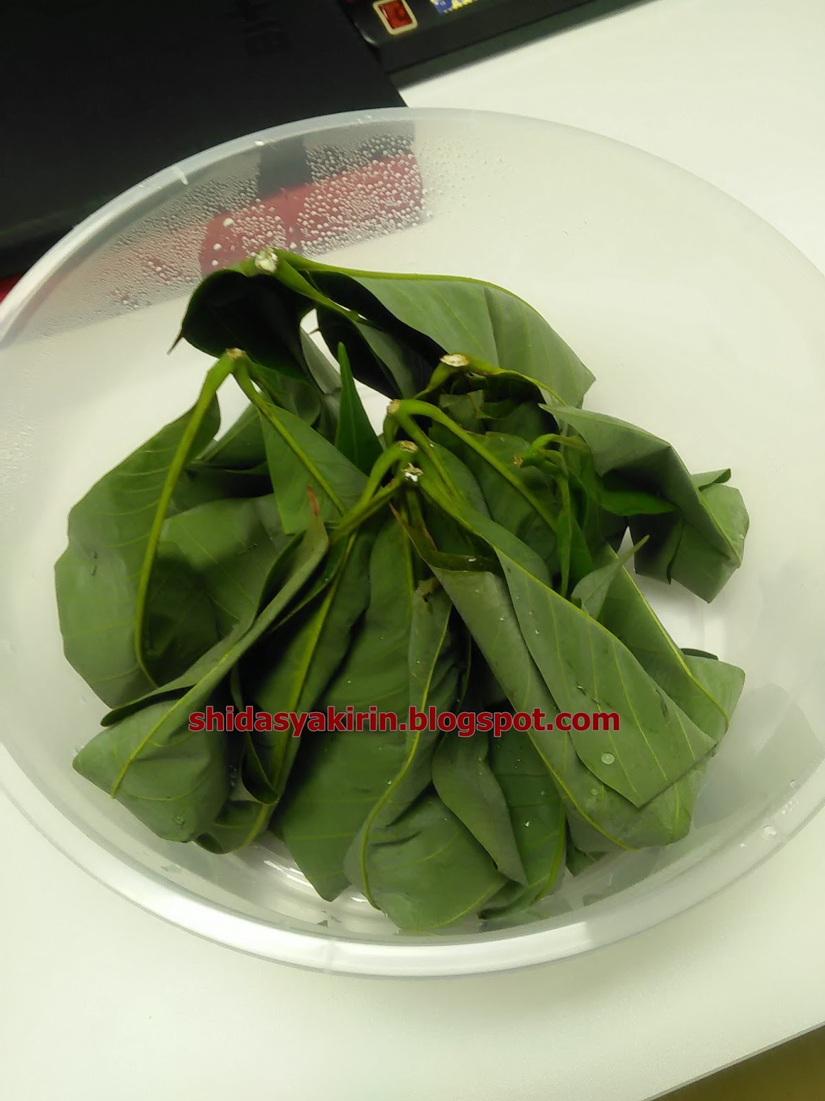 shidasyakirin: Tapai Pulut Daun Getah