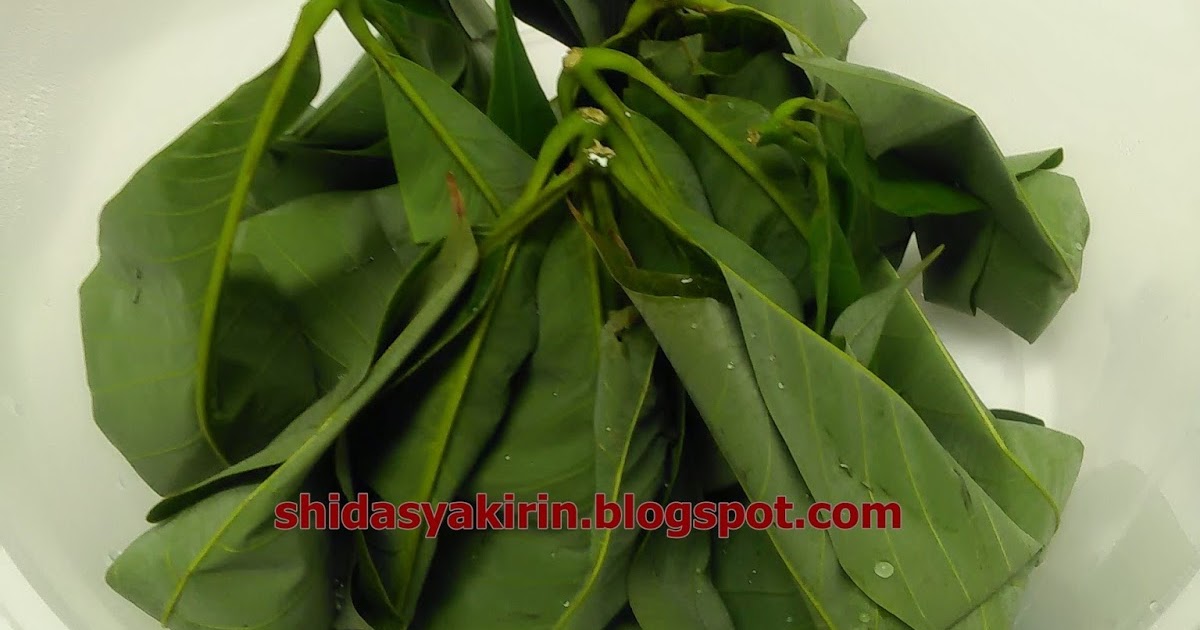 shidasyakirin: Tapai Pulut Daun Getah