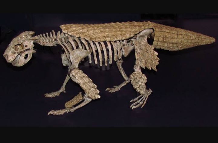 Simosuchus clarki - A herbivorous crocodilimorph from late Cretaceous ...