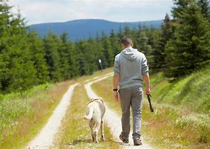 A Short-Lived Walking Companion