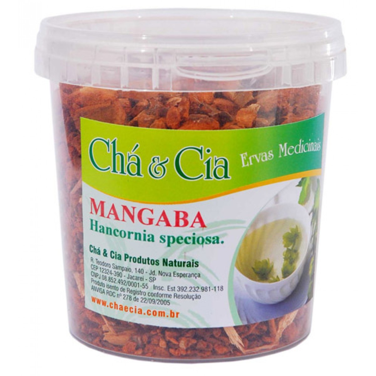 Mangaba - Hancornia speciosa