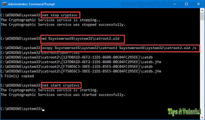 Cara Mereset Folder Catroot & Catroot2 di Windows 10/11 - Tips & Tutorial