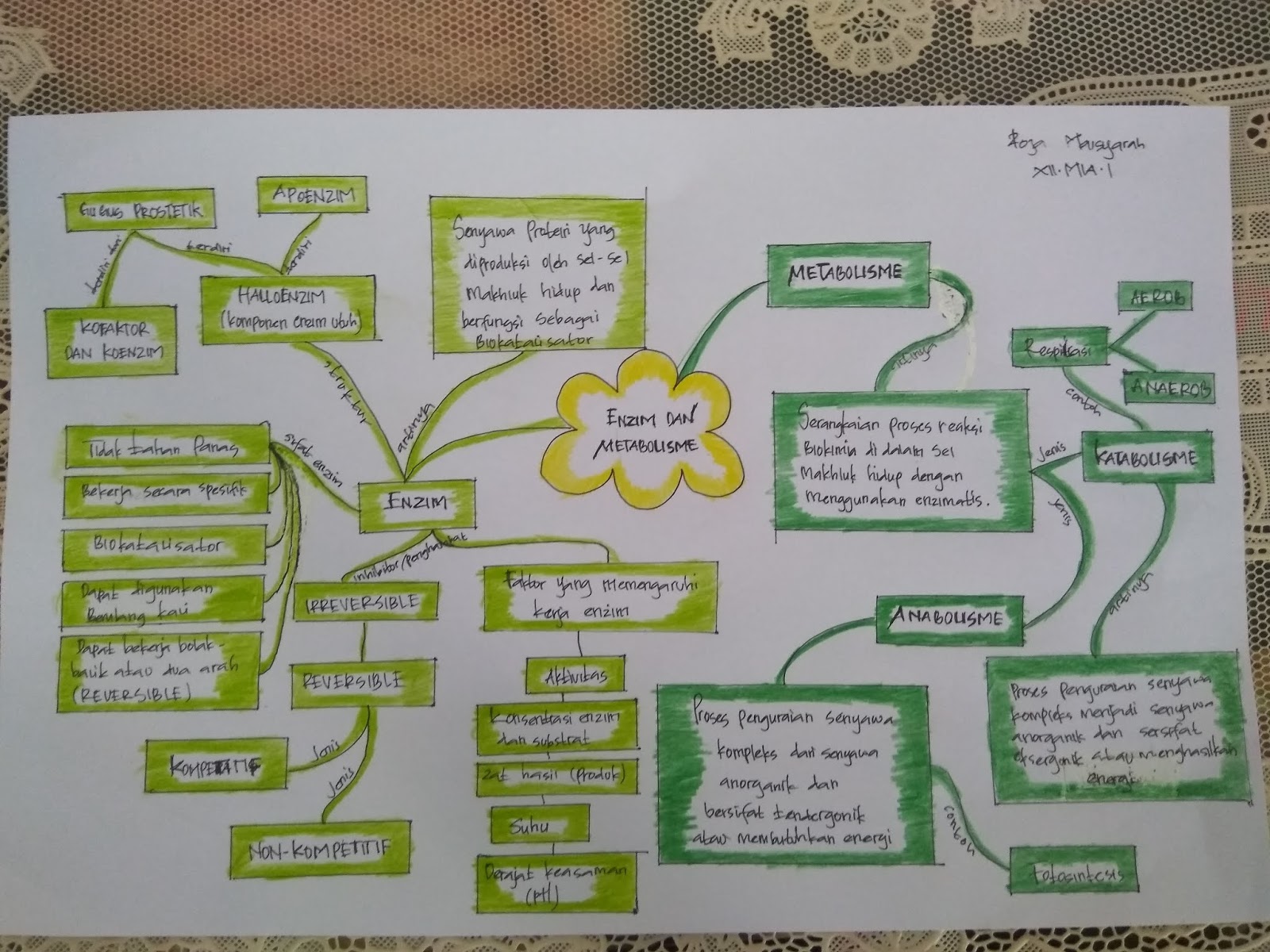 Tugas Mind Mapping Materi Enzim dan Metabolime Kelas XII MIA 1 - Kelas ...
