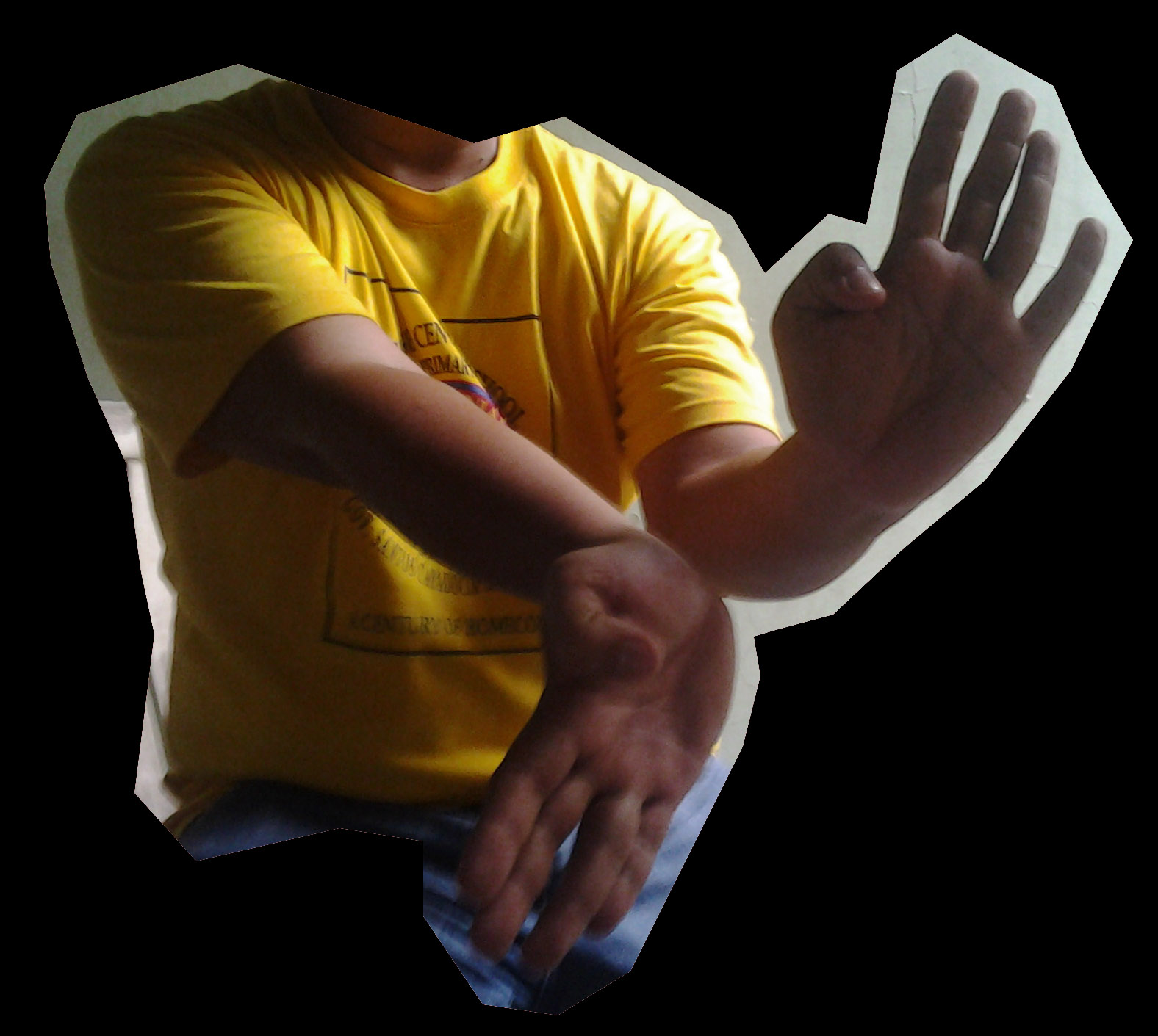 Mantis36: WING CHUN KUNG FU: Alphabets of Techniques