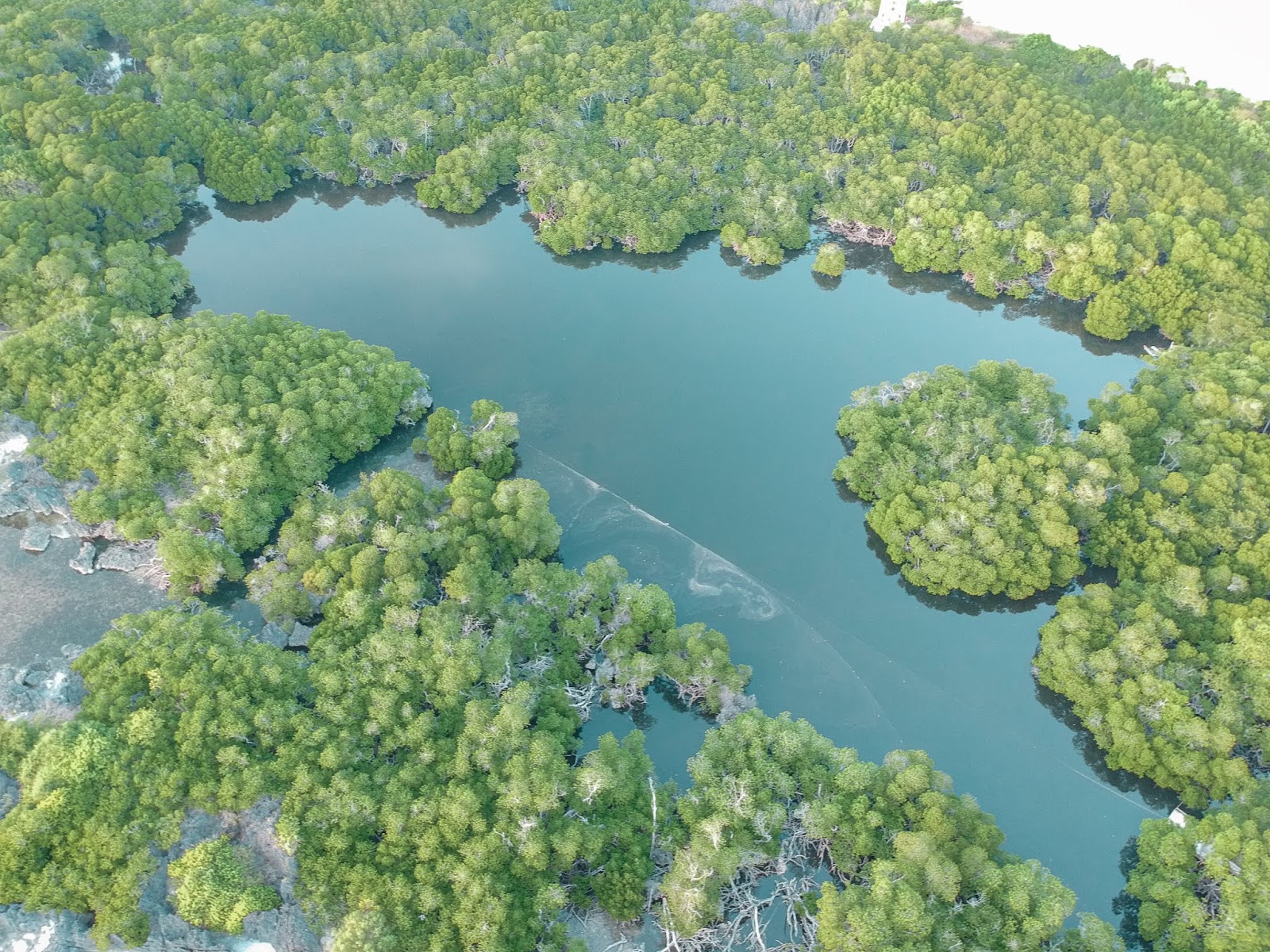 APO REEF NATURAL PARK TRAVEL GUIDE 2020 - The Queen's Escape