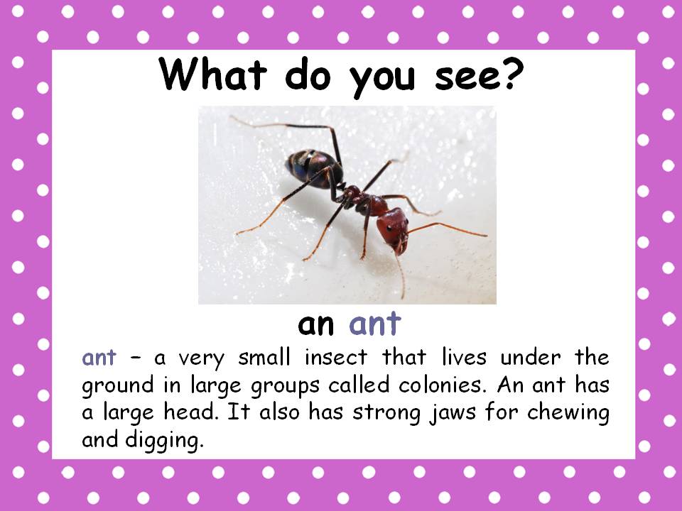 P2A Class Blog: The Grasshopper and the Ant Vocabulary Slides