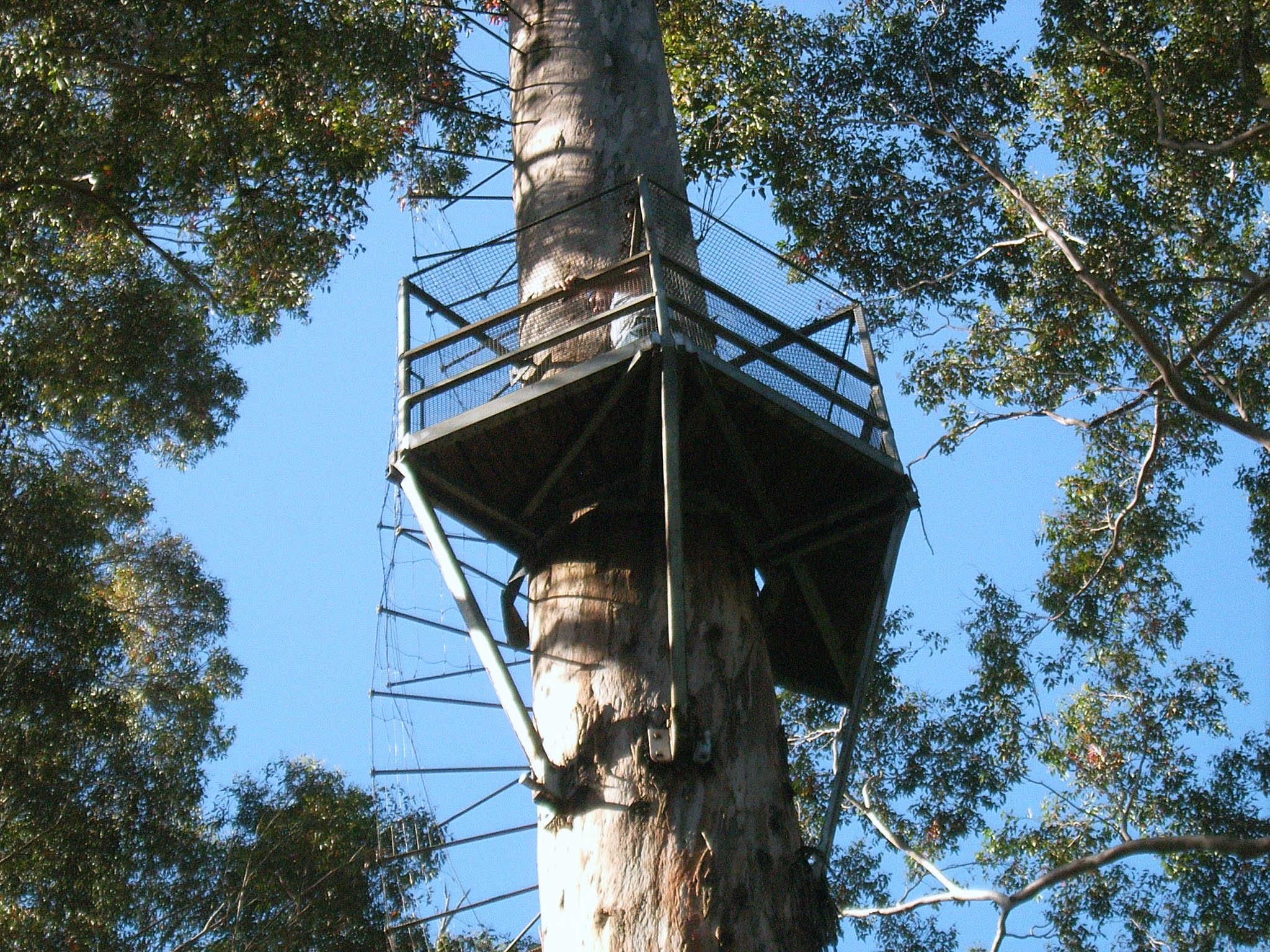 JonDent - Exploring Electronic Music: Pemberton WA - Fire Lookout ...
