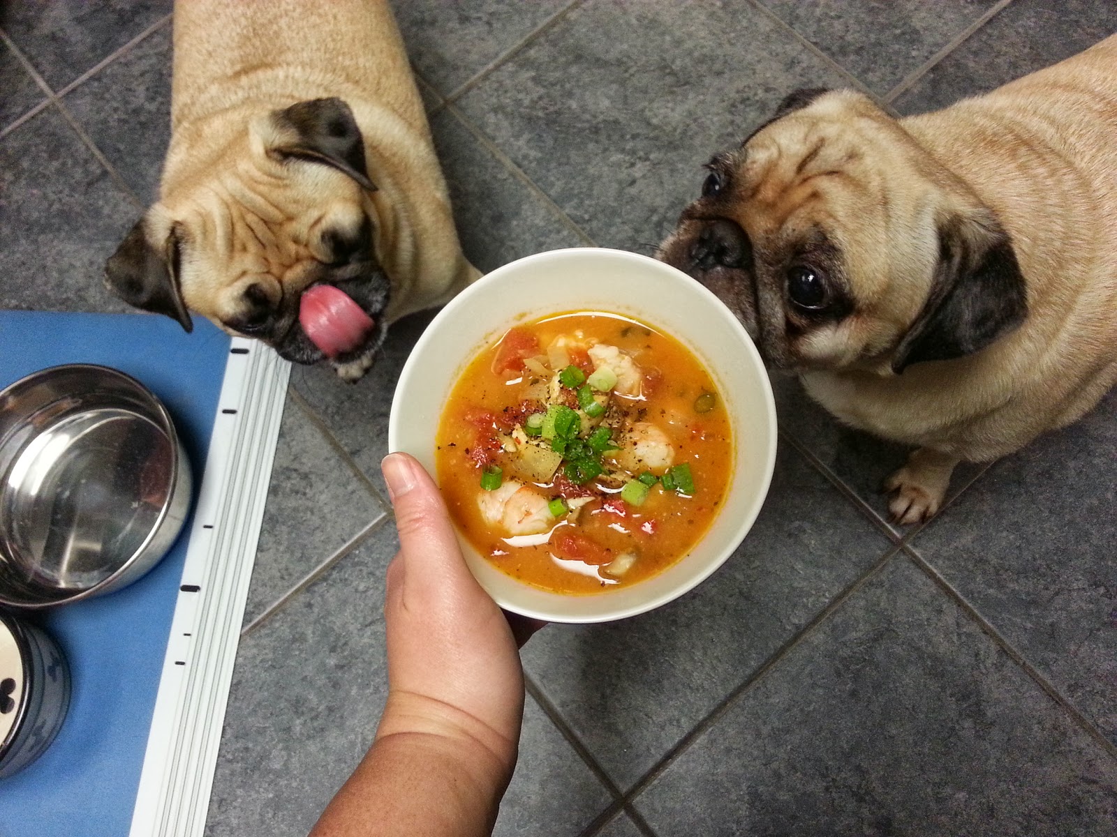 Grubbin' Pugs: Fish and Shrimp Stew with Tomatoes
