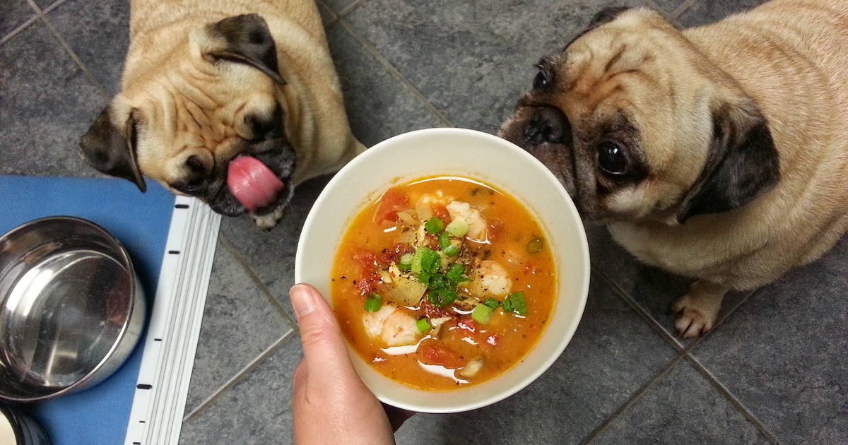 Grubbin' Pugs: Fish and Shrimp Stew with Tomatoes